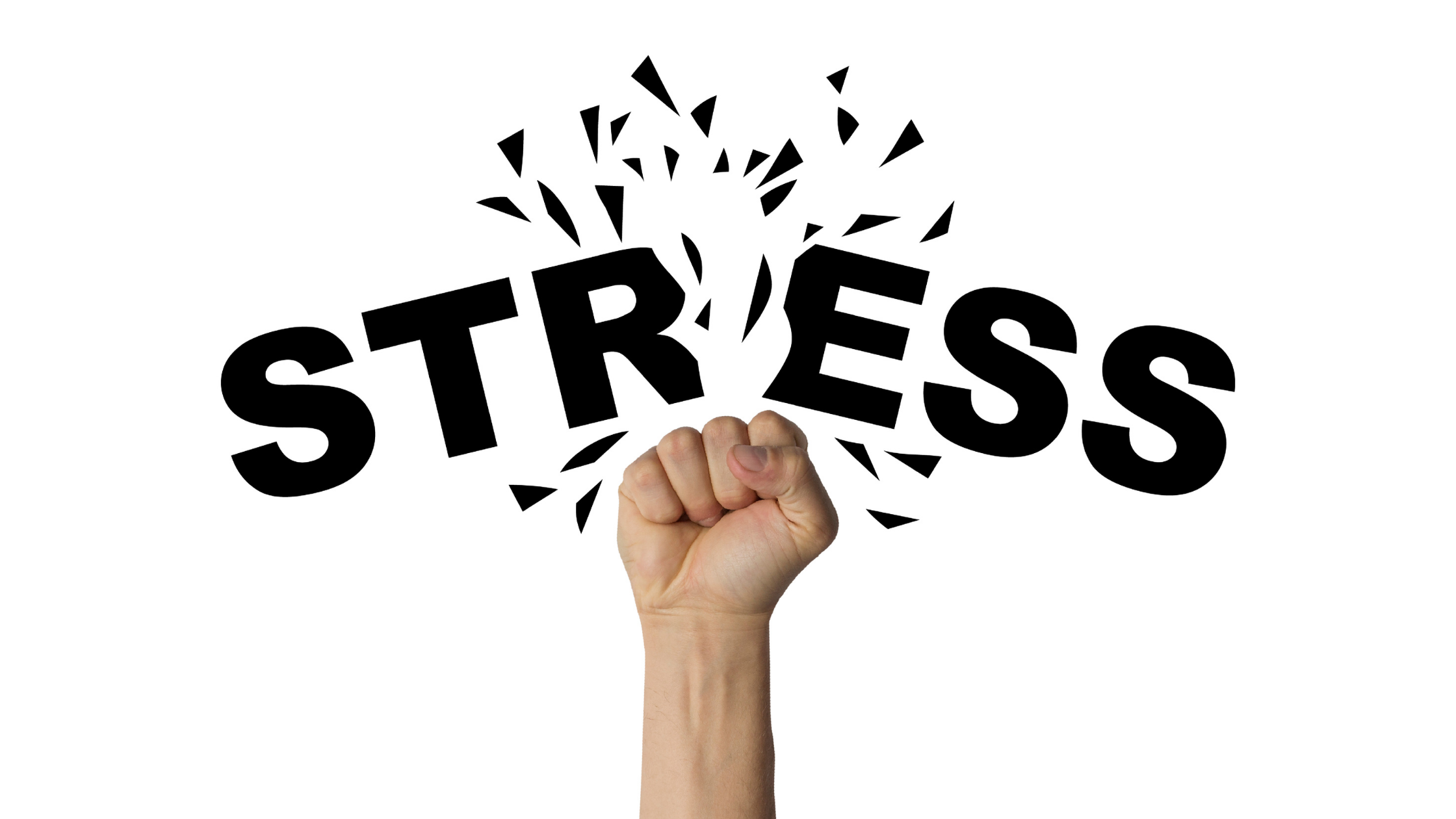Are You Overly Stressed Out? - JudiMoreo.com
